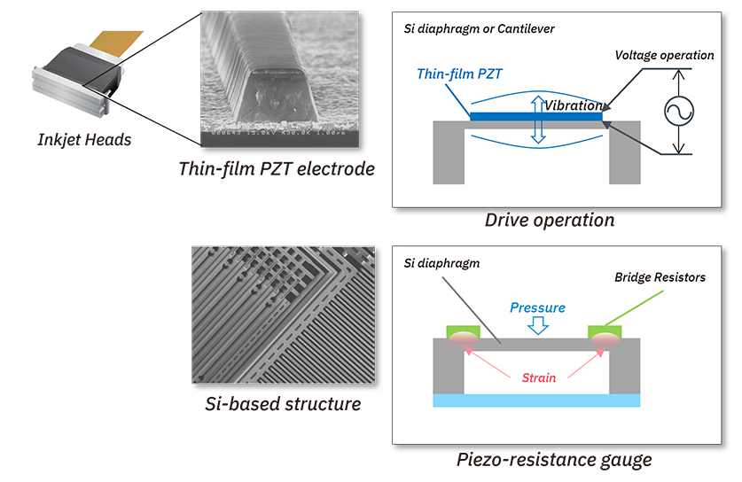 Thin-Film Piezo MEMS | Foundry| ROHM Semiconductor - ROHM Co., Ltd.